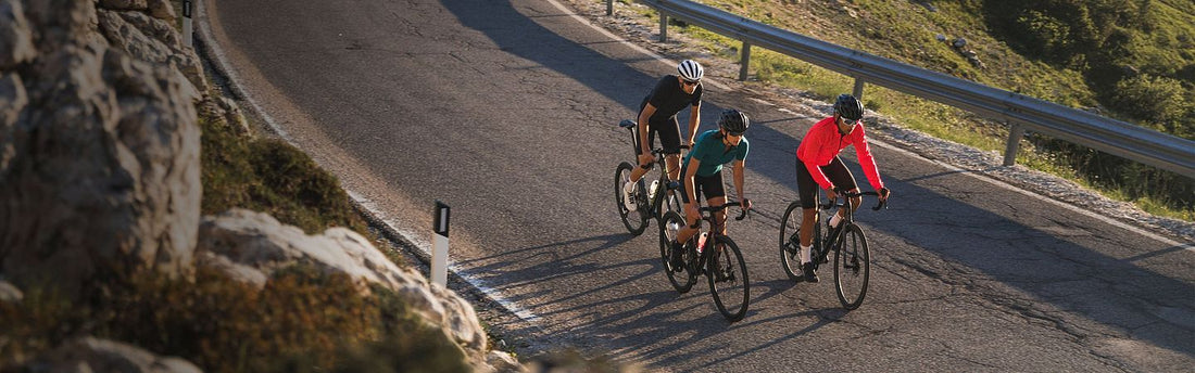Specialized Bikes for Sale Online | Freewheel Cycology
