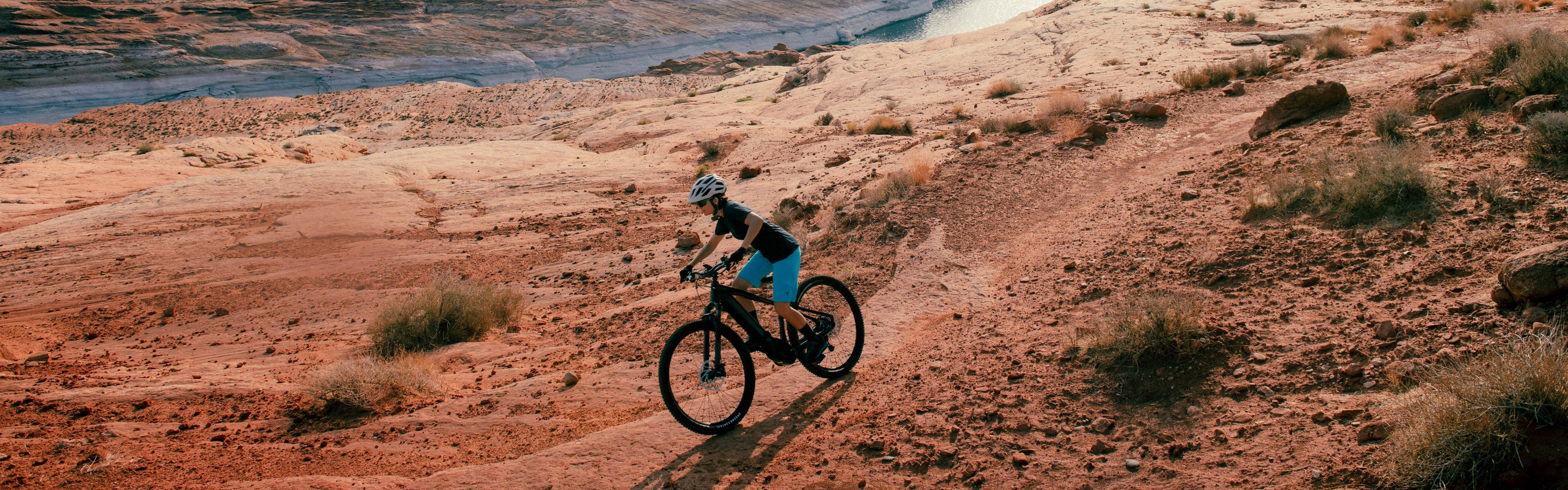 Turbo Tero – Freewheel Cycology